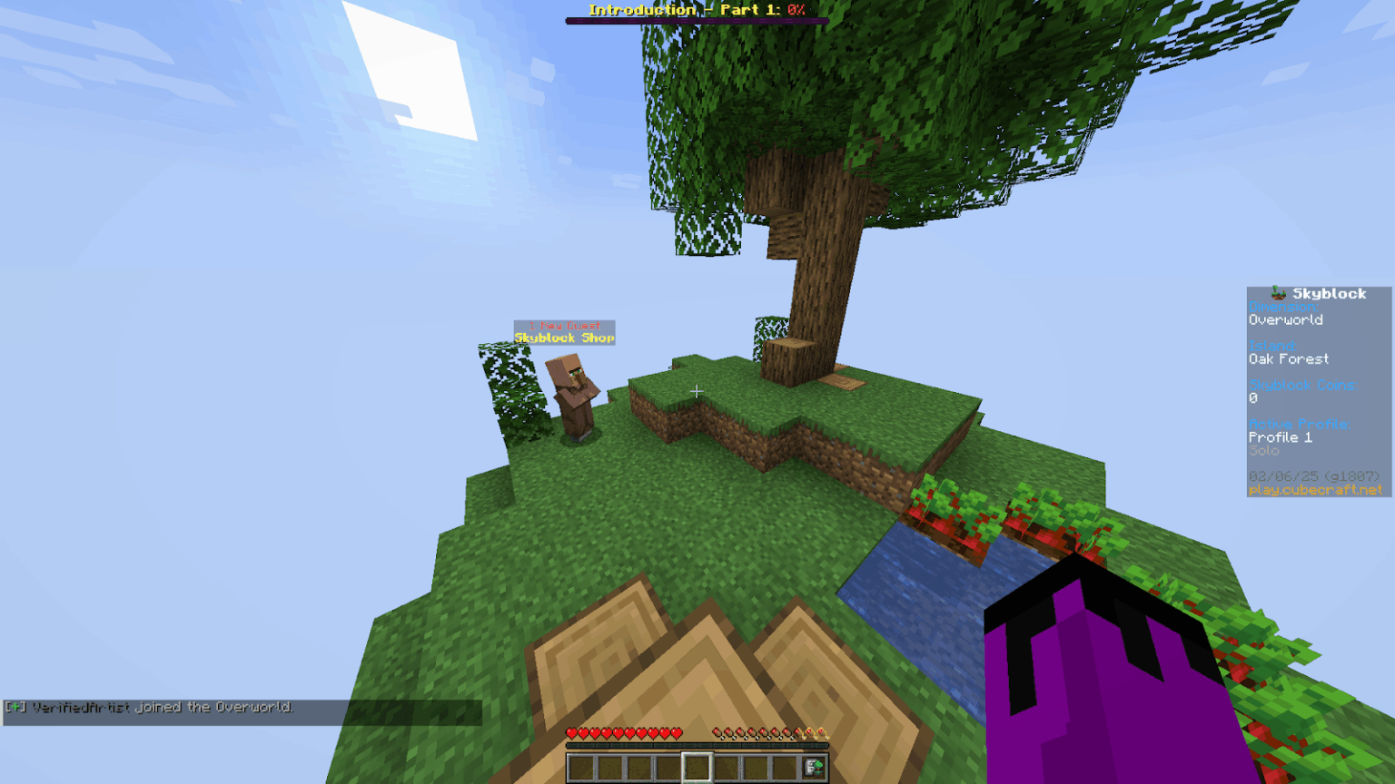 Top 10 Minecraft Skyblock Servers in 2025 | GGServers Blog