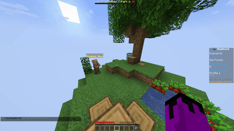 Top 10 Minecraft Skyblock Servers in 2025 | GGServers Blog