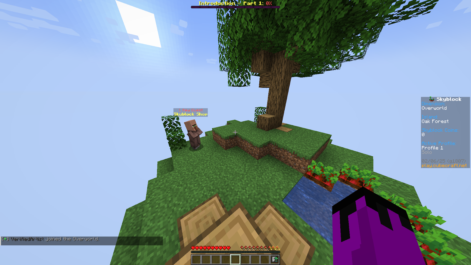 Top 10 Minecraft Skyblock Servers in 2025 | GGServers Blog