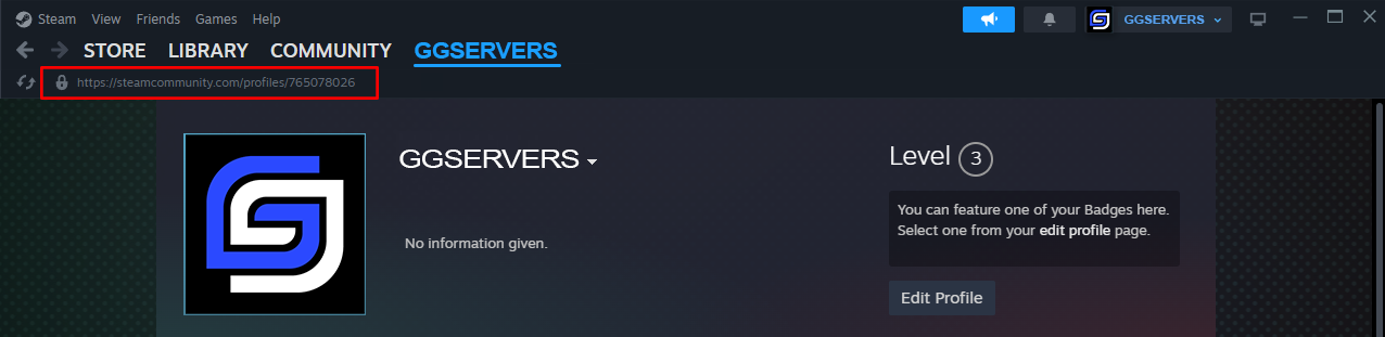How to identify your Steam ID - GGServers Knowledgebase