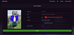 How to Port Your Bedrock Character Creator Skin to Java Edition ...