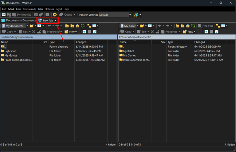 How To Increase WinSCP Transfer Speed - GGServers Knowledgebase